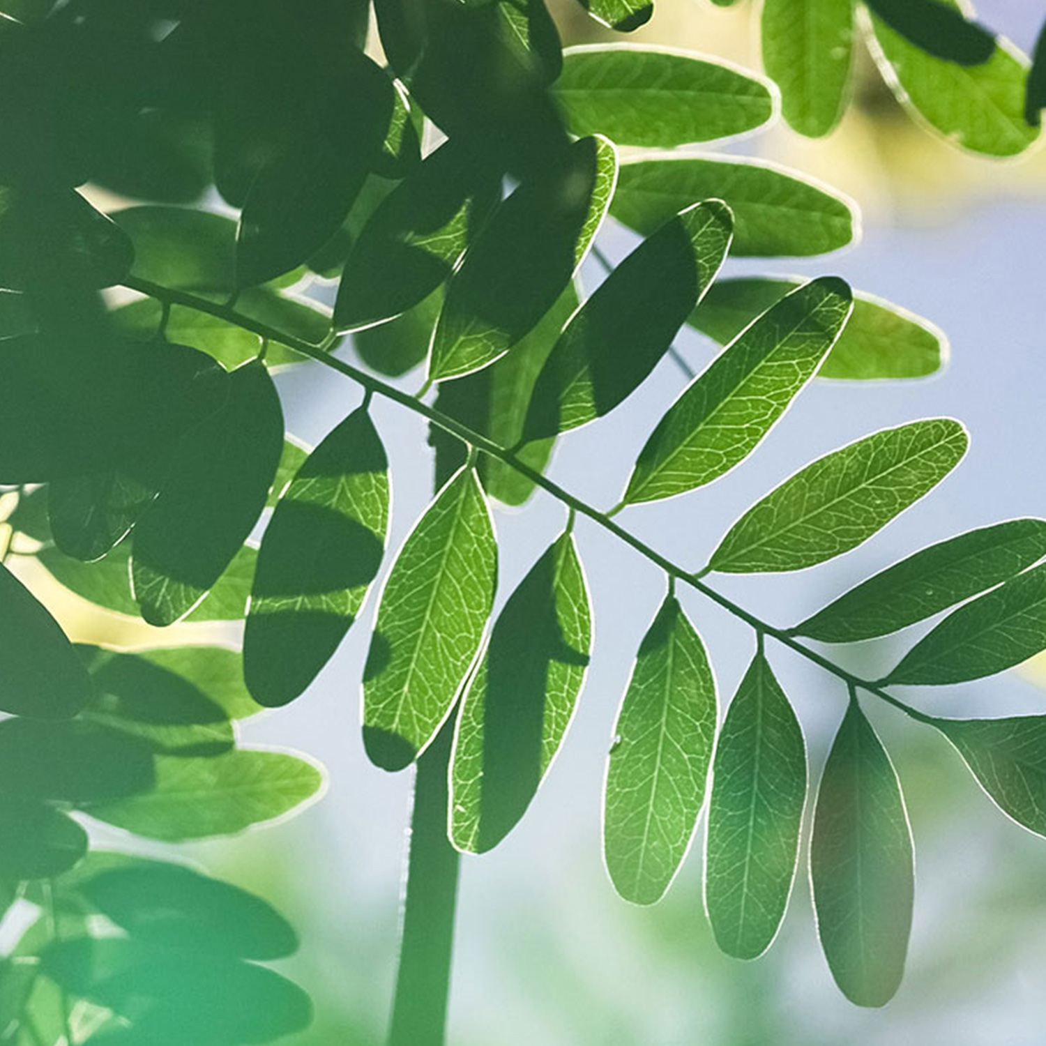 Nyhetsrum – nyheter, branschinsikter och berättelser